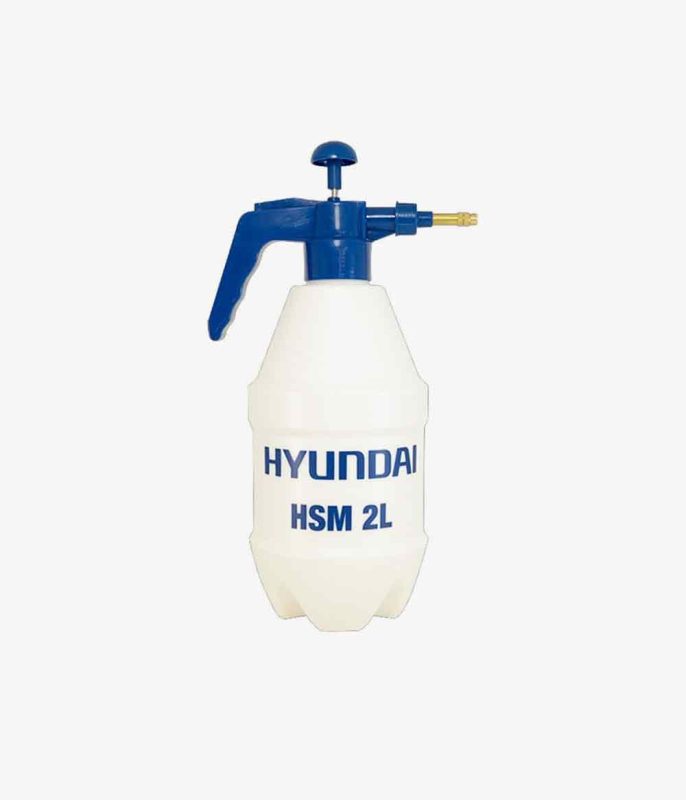 HYUNDAI HSM 2L - The Pumps